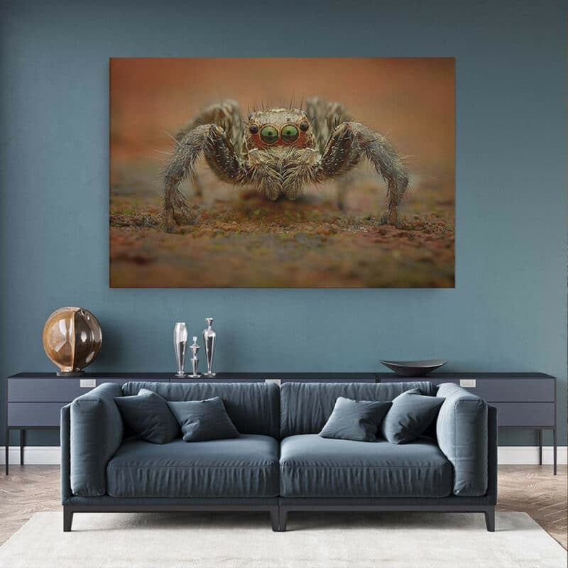 Canvas Grote spin - FotoprintXL